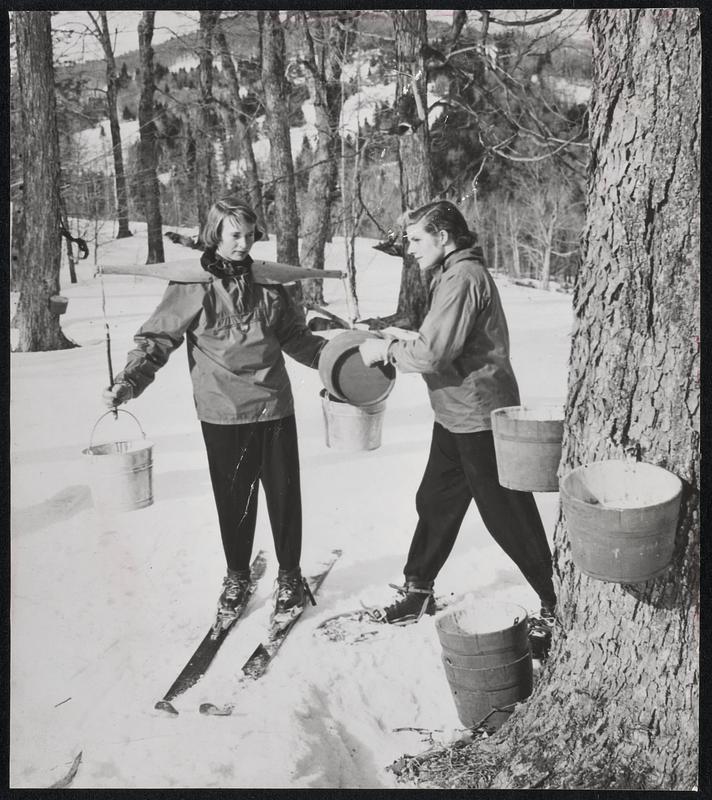 Sap on Tap in the Sugar Bush--It's Maple Syrup Time Again in Vermont ...