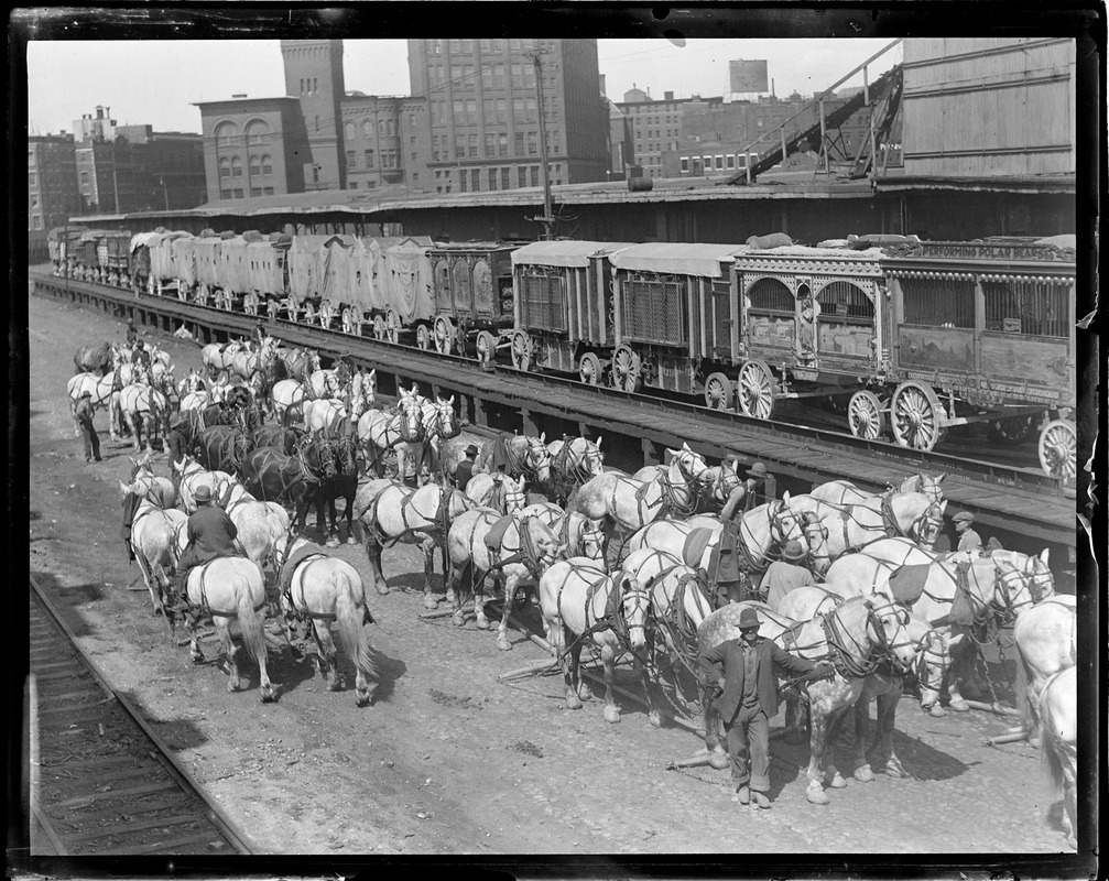 Circus train and horses arrive in Boston - Digital Commonwealth