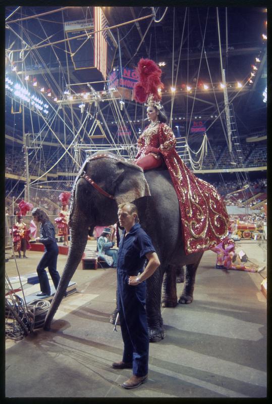 Barnum & Bailey Circus at Boston Garden - Digital Commonwealth