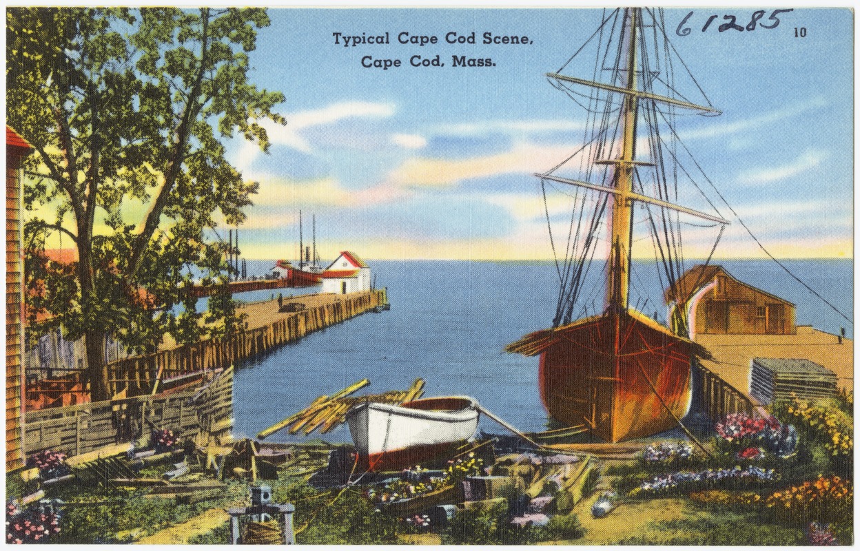 Typical Cape Cod scene, Cape Cod, Mass. - Digital Commonwealth