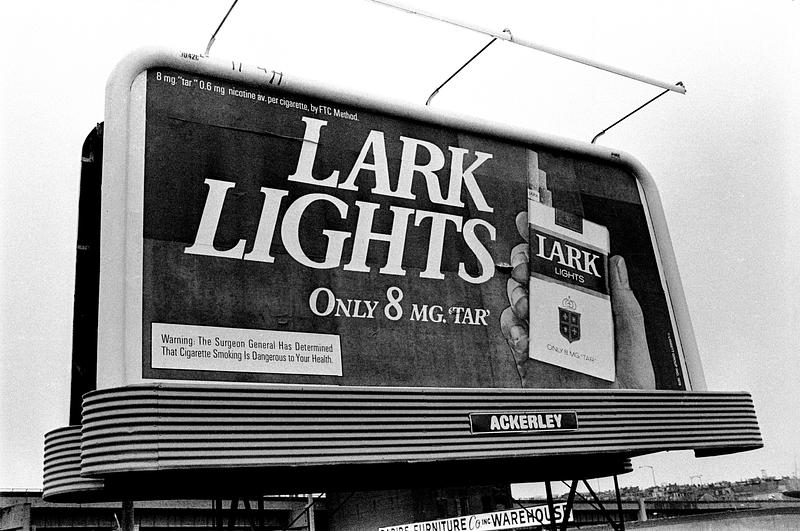 Lark lights - Digital Commonwealth