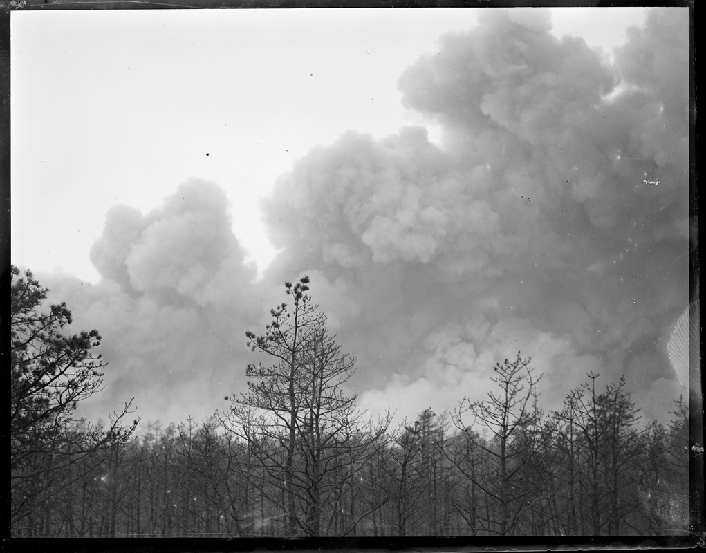 Cape Cod forest fire - going strong - Digital Commonwealth