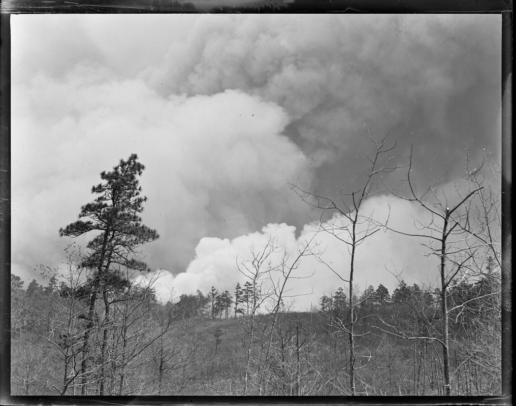 Forest fire rages down on Cape Cod - Digital Commonwealth