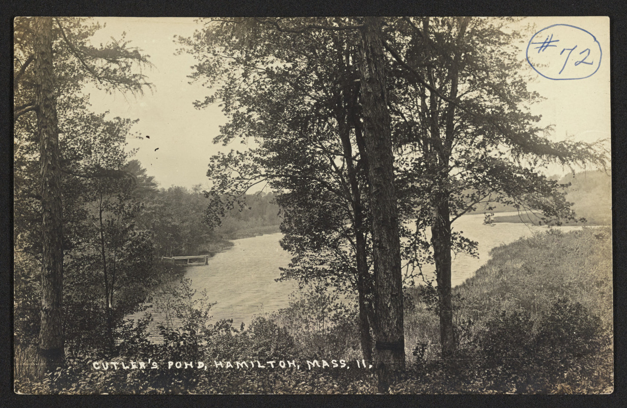 Cutler's Pond, Hamilton, Mass - Digital Commonwealth