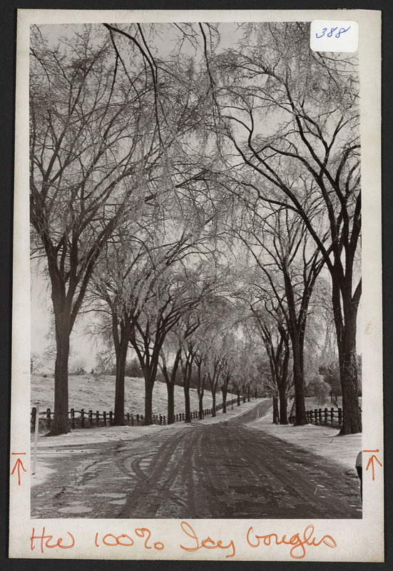 Driveway of Pingree School, Hamilton - Digital Commonwealth