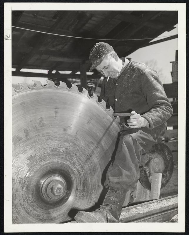 Millions of feet of war lumber have come from the teeth of this fifty ...