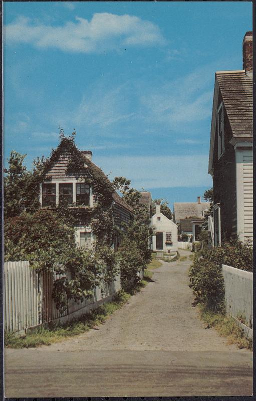 A village lane, Cape Cod, Mass. - Digital Commonwealth