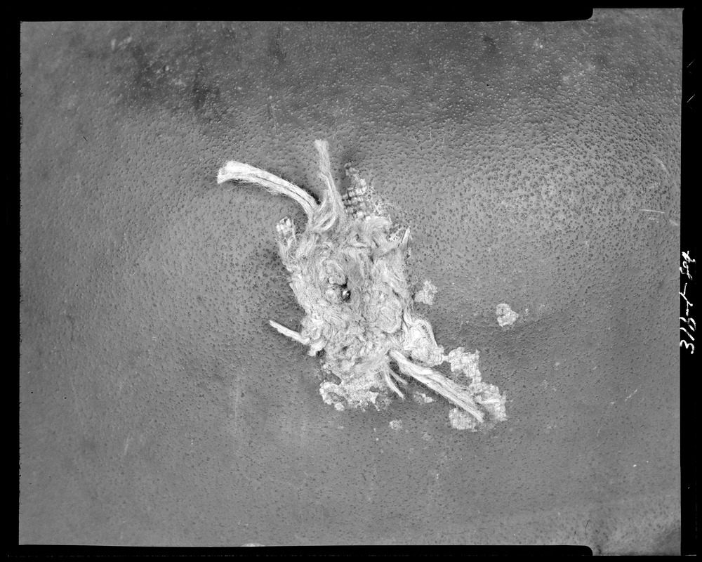 IPL, PASGT helmet, Grenada, 1983, combat condition - Digital Commonwealth