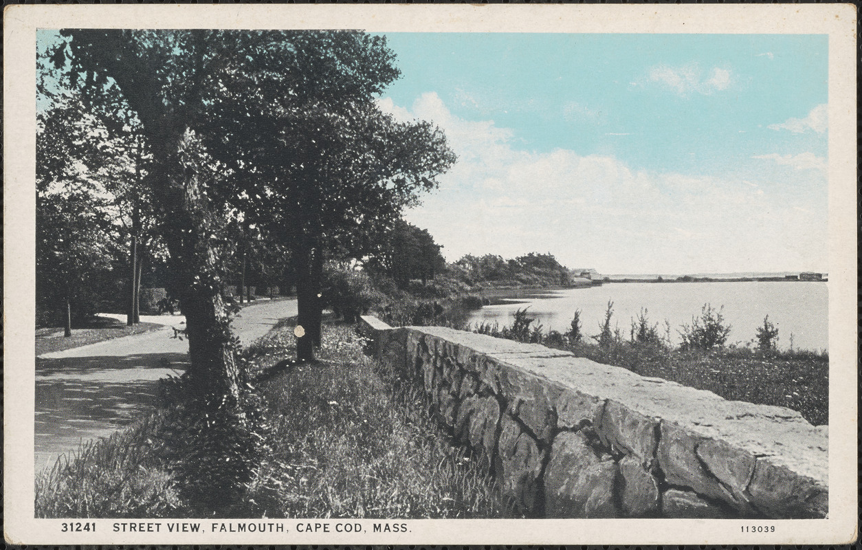 Street View, Falmouth, Cape Cod, Mass. - Digital Commonwealth