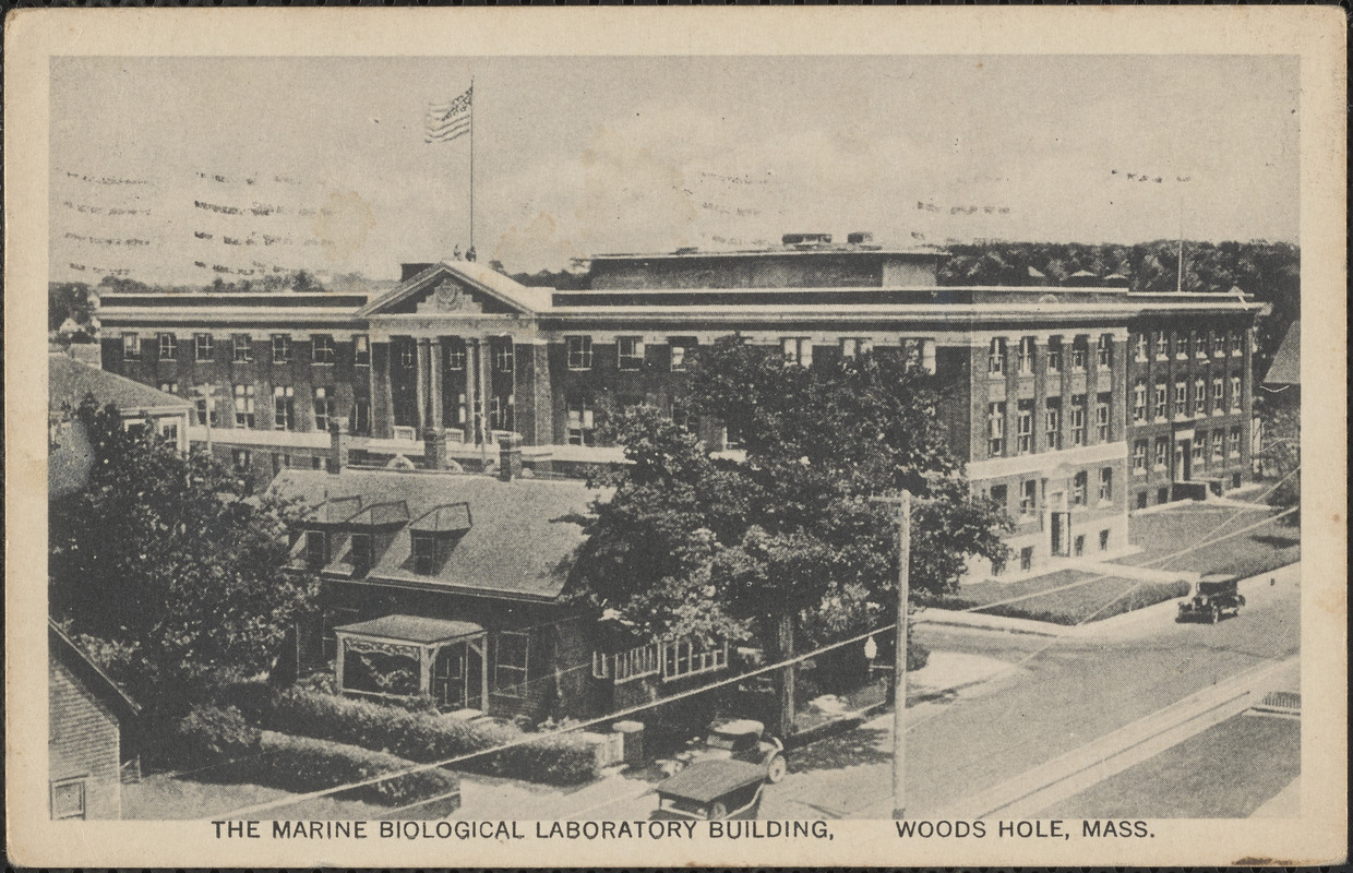 The Marine Biological Laboratory Building, Woods Hole, Mass. - Digital ...