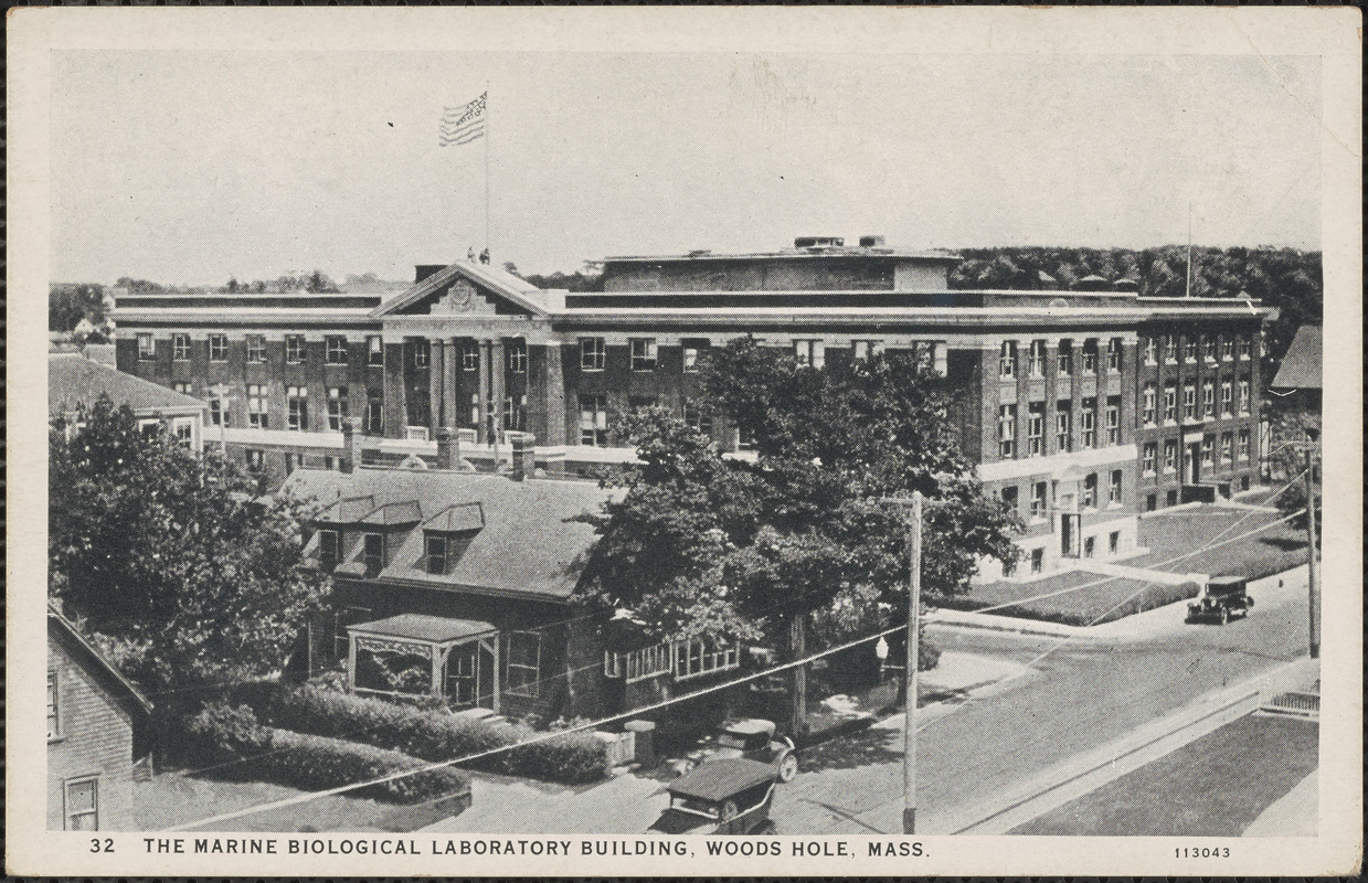 The Marine Biological Laboratory Building, Woods Hole, Mass. - Digital ...