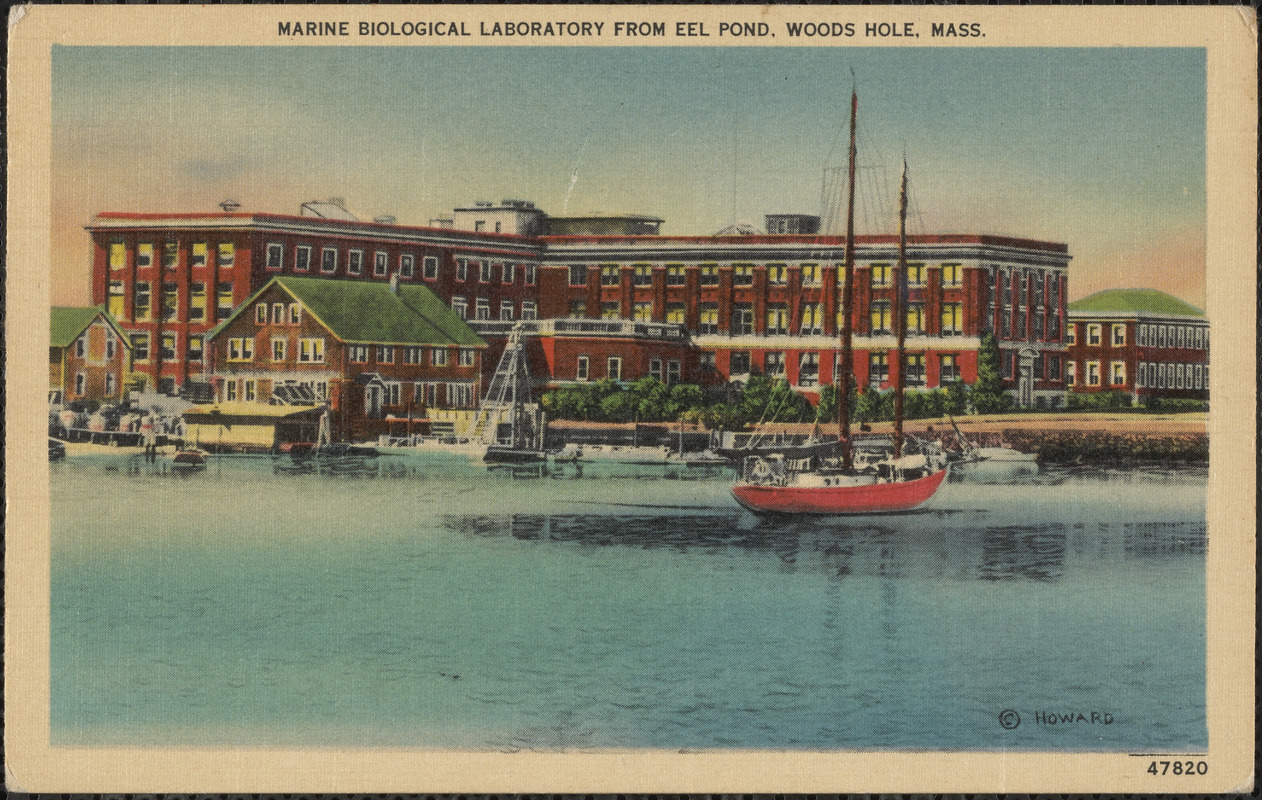 Marine Biological Laboratory from Eel Pond, Woods Hole, Mass. - Digital ...