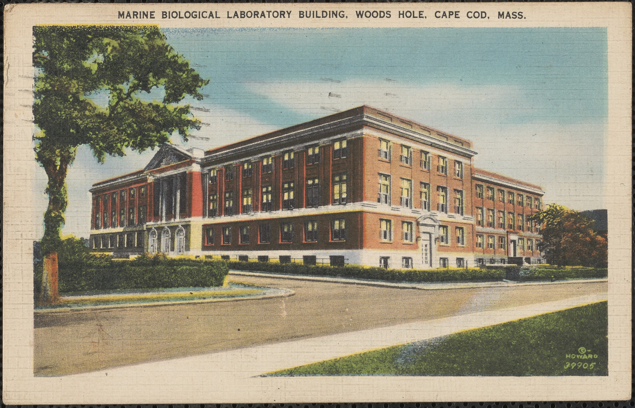 Marine Biological Laboratory Building, Woods Hole, Cape Cod, Mass ...