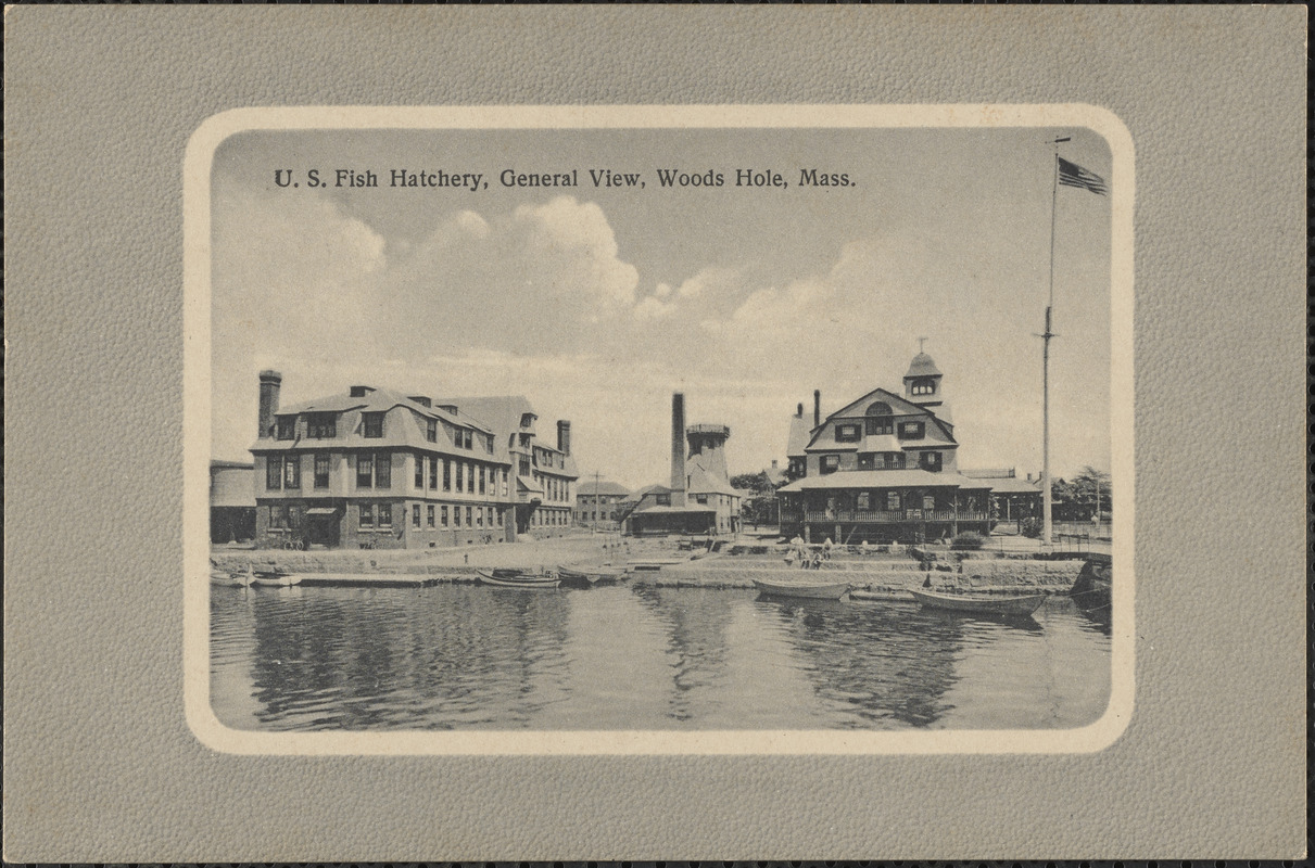U. S. Fish Hatchery, General View, Woods Hole, Mass. - Digital Commonwealth