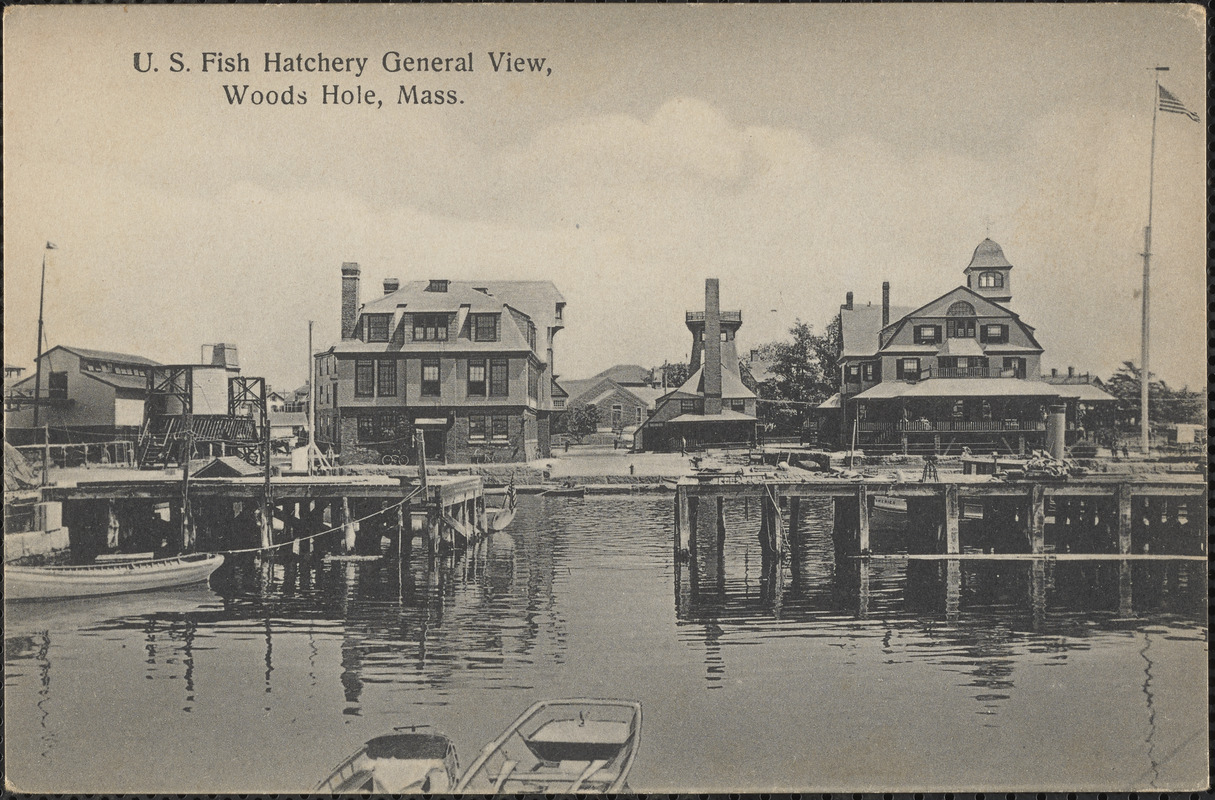 U. S. Fish Hatchery, General View, Woods Hole, Mass. - Digital Commonwealth
