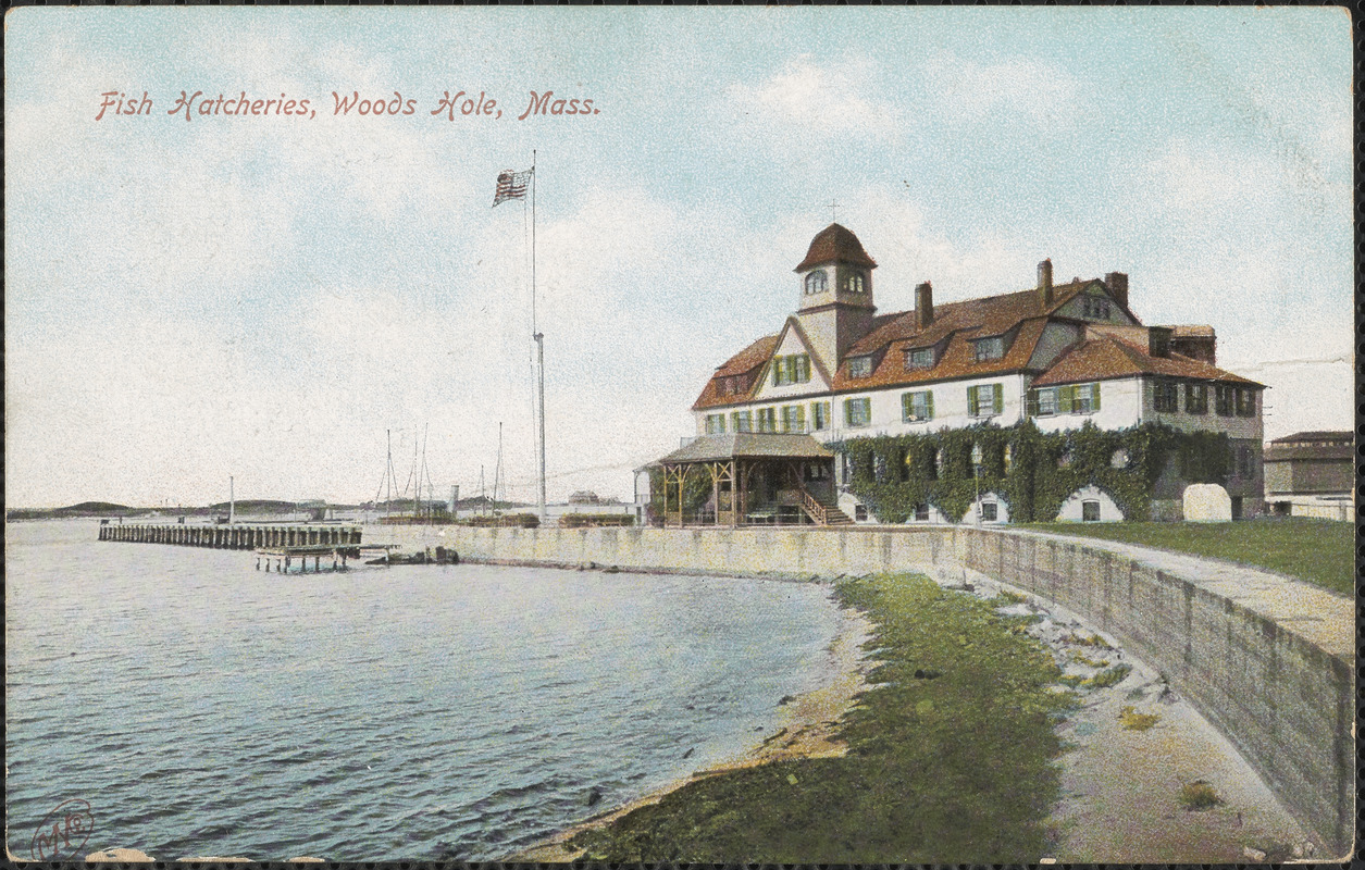 Fish Hatcheries, Woods Hole, Mass. - Digital Commonwealth