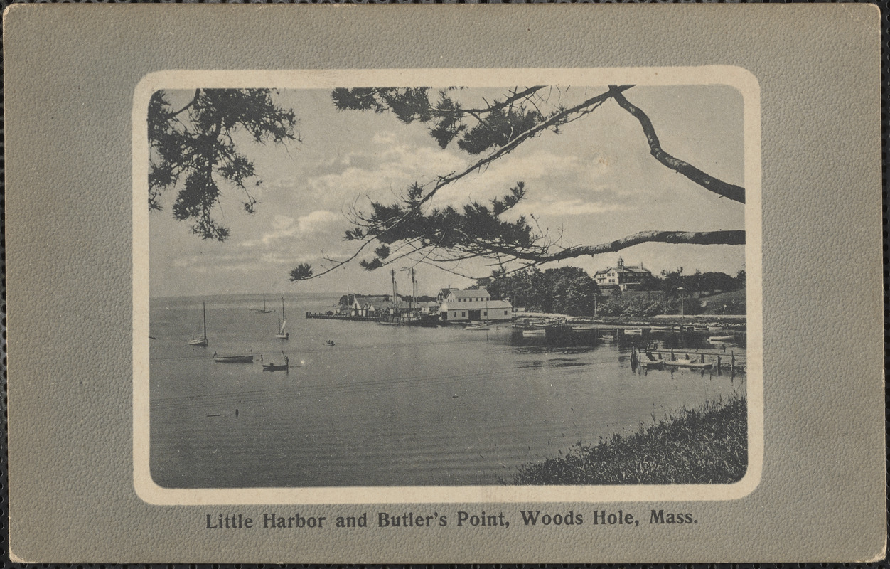 Little Harbor and Butler's Point, Woods Hole, Mass. - Digital Commonwealth
