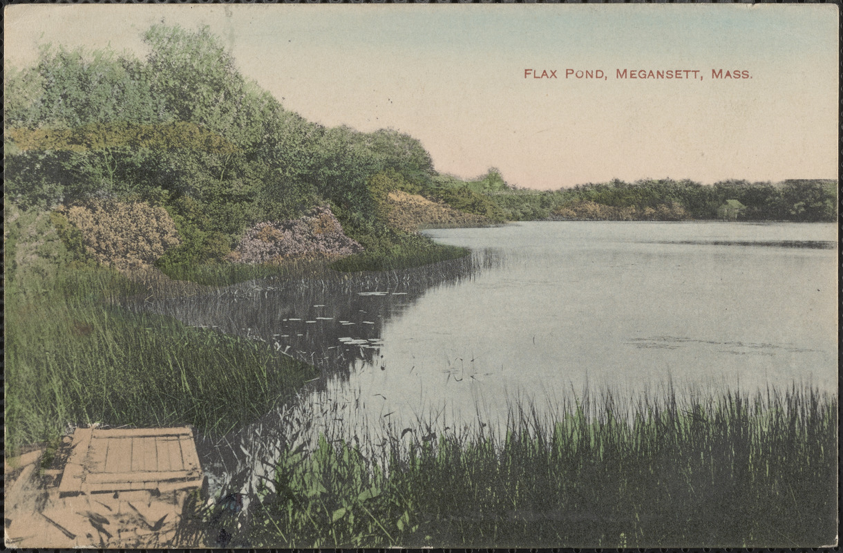 Flax Pond, Megansett, Mass. - Digital Commonwealth