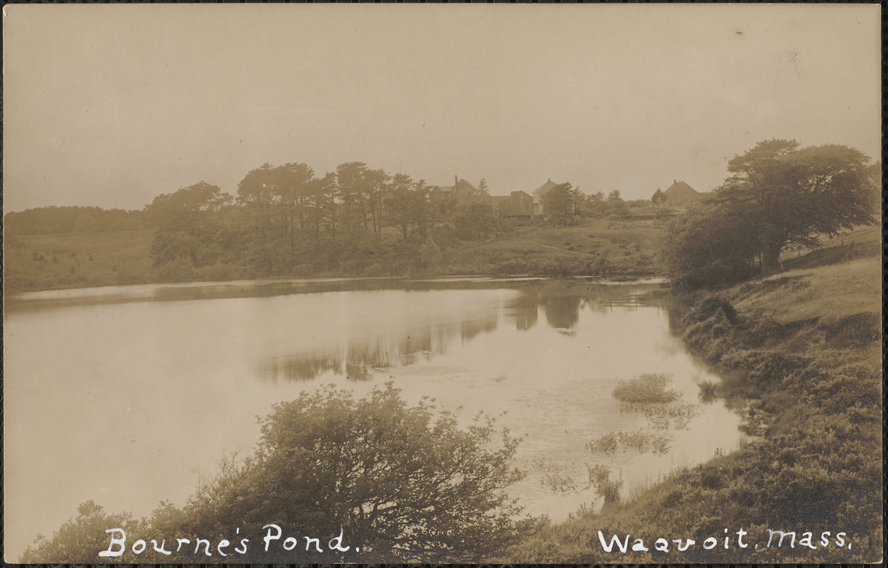 Bourne's Pond, Waquoit, Mass. - Digital Commonwealth