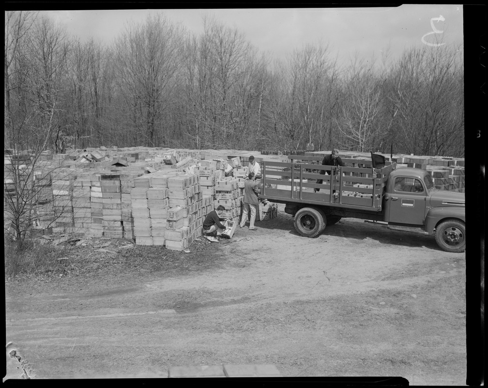 People loading boxes onto a truck - Digital Commonwealth