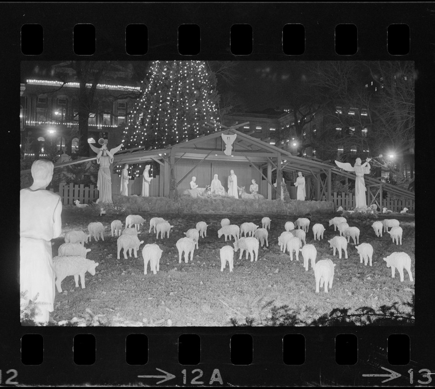 Christmas Decorations On Boston Common Digital Commonwealth christmas-decorations-on-boston-common-digital-commonwealth
