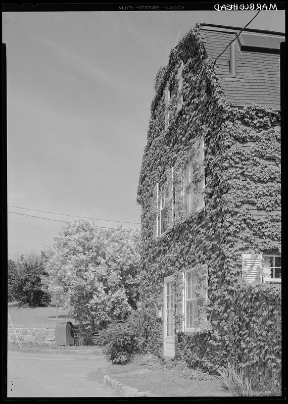 Vine Covered House - Digital Commonwealth