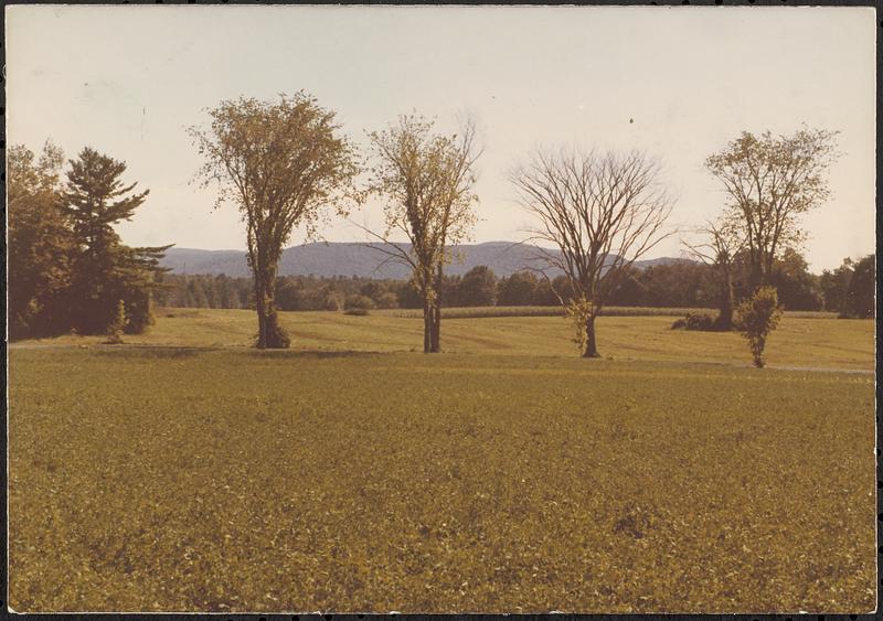 Field and distant mountain - Digital Commonwealth