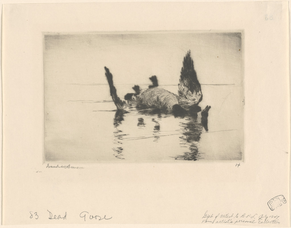 Dead goose - Digital Commonwealth