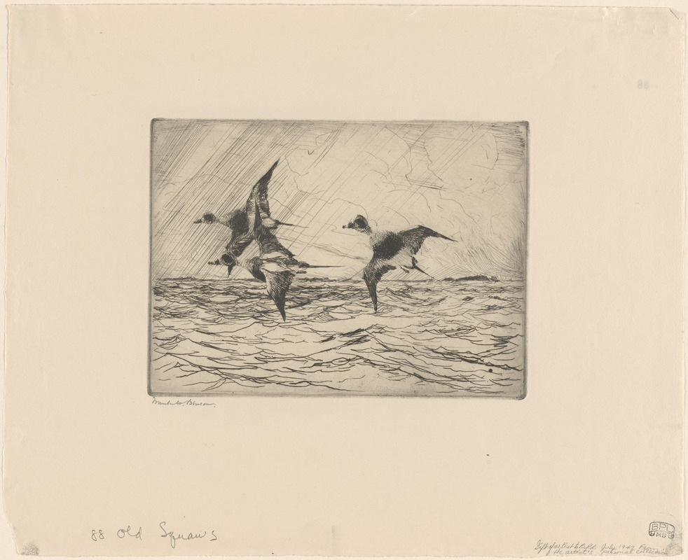 Old squaws - Digital Commonwealth