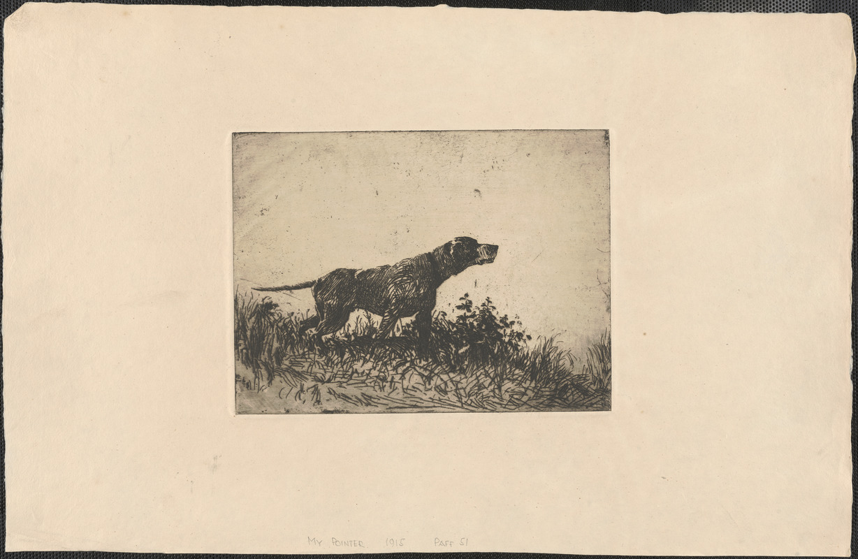 My pointer - Digital Commonwealth