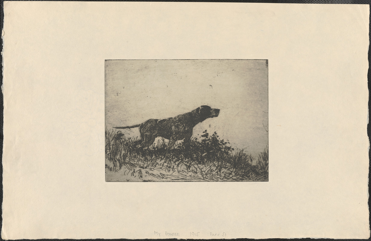 My pointer - Digital Commonwealth