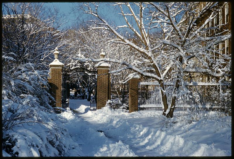 Path in snow, Harvard University - Digital Commonwealth