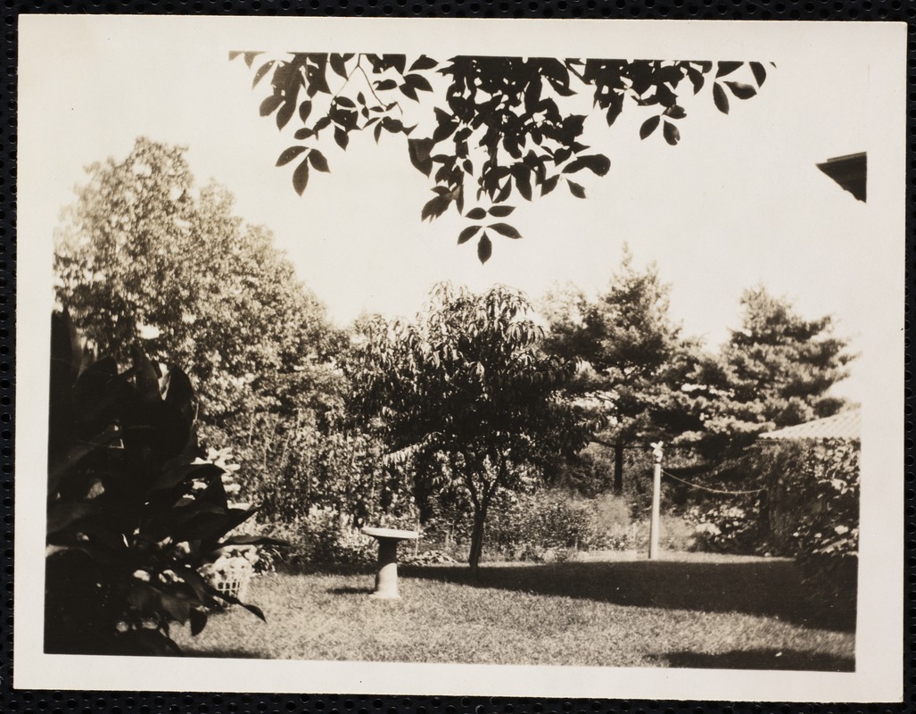 Houses. Newton, MA. Newton Highlands house - fountain - Digital ...