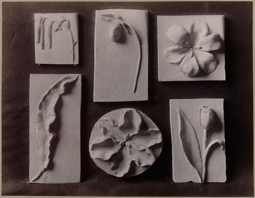 Examples of clay modeling at a Boston public school - Digital Commonwealth