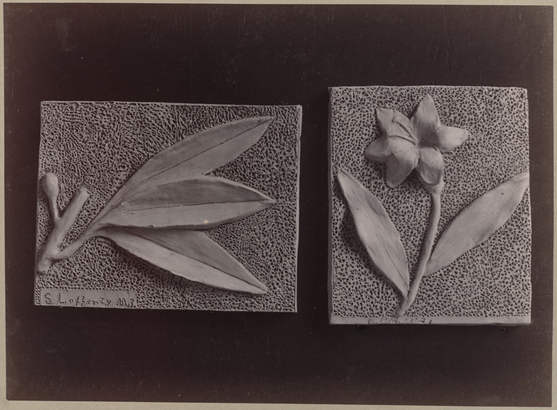 Examples of clay modeling at a Boston public school - Digital Commonwealth