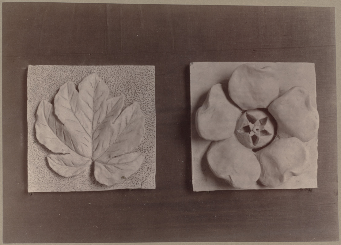 Examples of clay modeling at a Boston public school - Digital Commonwealth