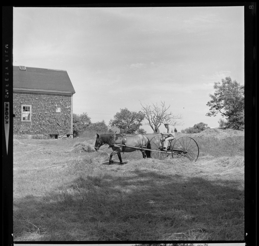 Man driving horse drawn hay rake? - Digital Commonwealth