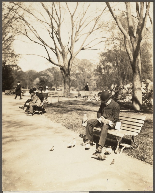 Spring scene on Boston Common, Boston Mass. - Digital Commonwealth