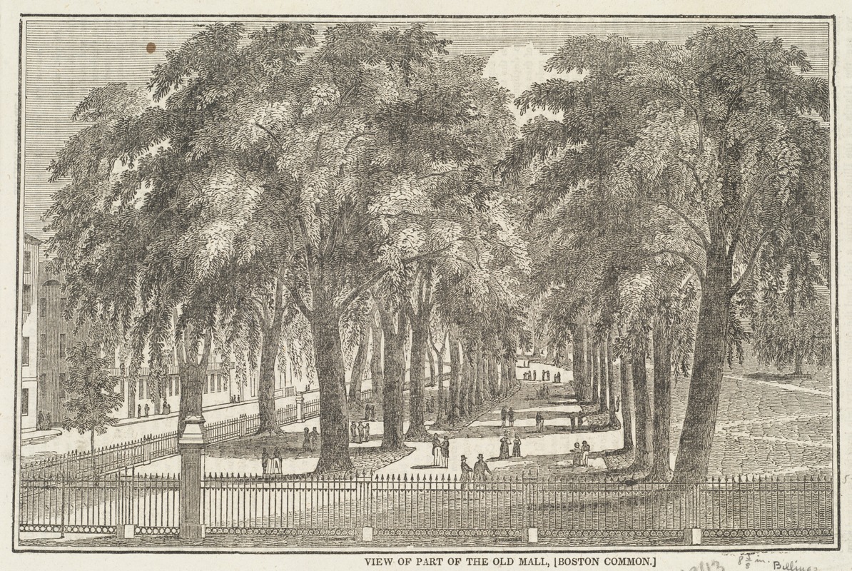 View of part of the old mall (Boston Common) - Digital Commonwealth