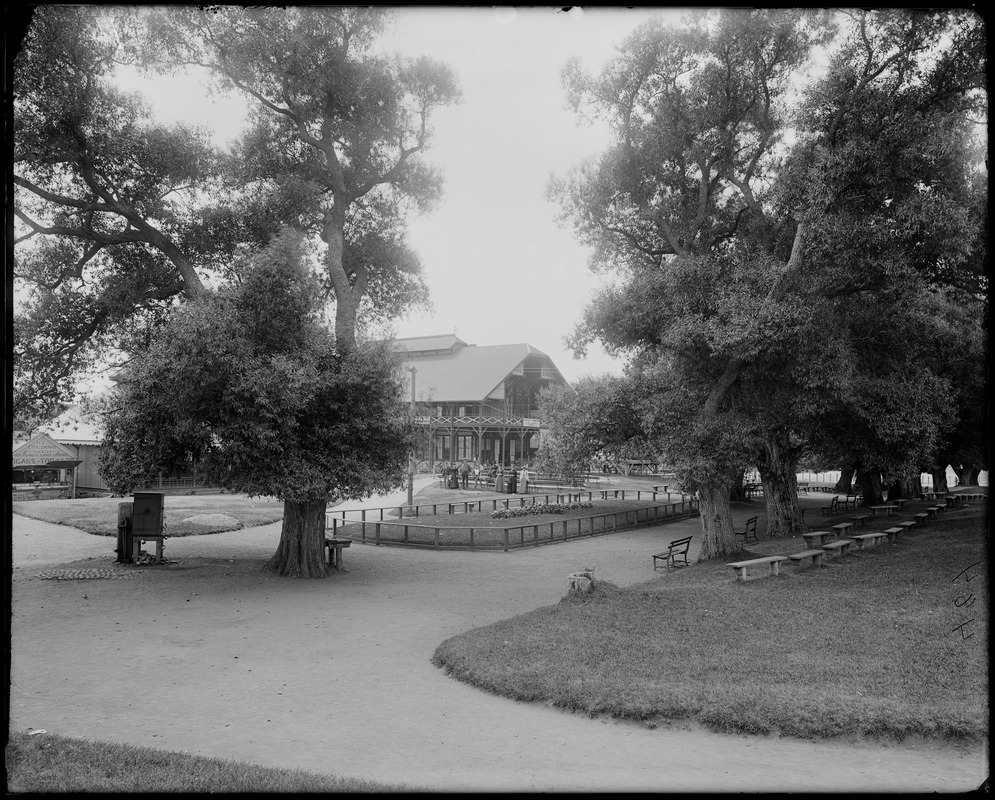 Salem, Salem Willows, views, willow trees and pavillion - Digital ...
