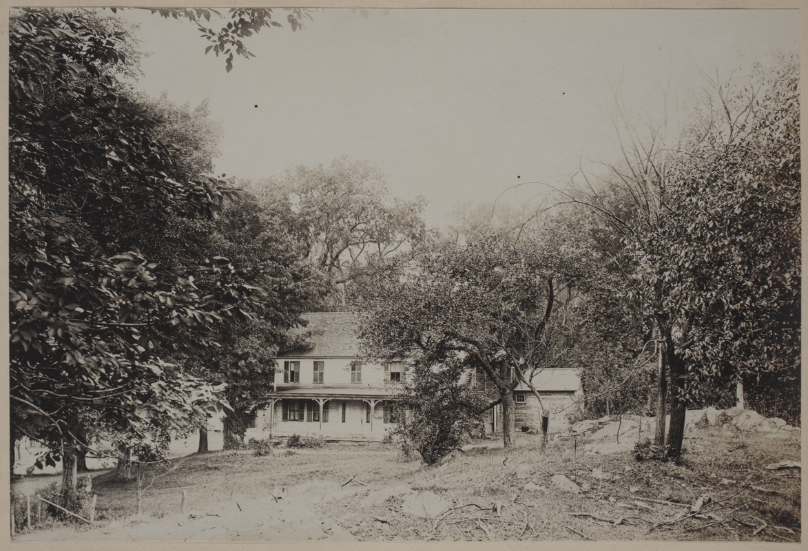 Photograph Album of the Newell Family of Newton, Massachusetts - Newell ...