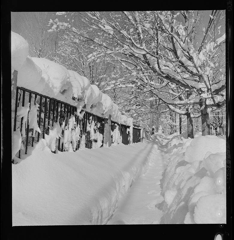 Snow on High St. - Digital Commonwealth
