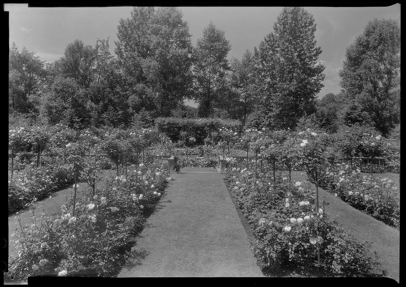 Rose garden of Mrs. Louis A. Frothingham, gen. view S. from middle ...