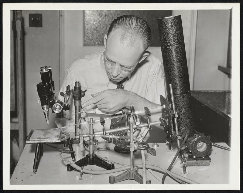 Views Death Inside Body. Dr. Melvin H. Knisely, of the University of ...