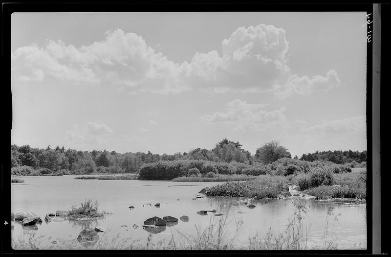 Calvin Howe pond, Wayside Inn, Sudbury - Digital Commonwealth