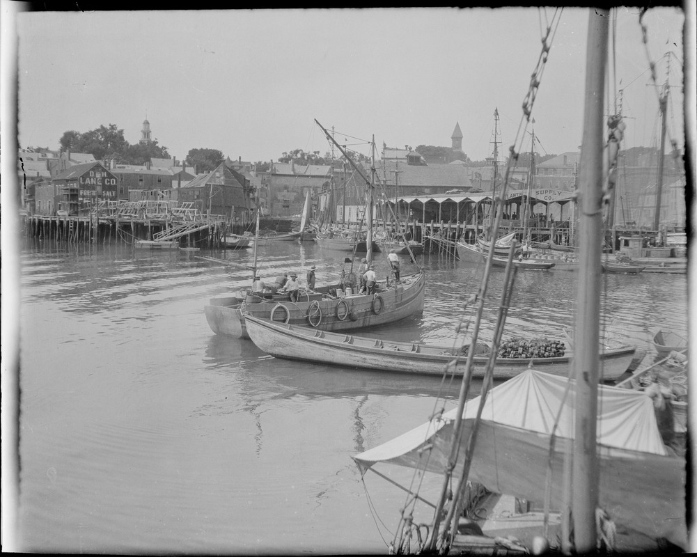 Gloucester Harbor - Digital Commonwealth