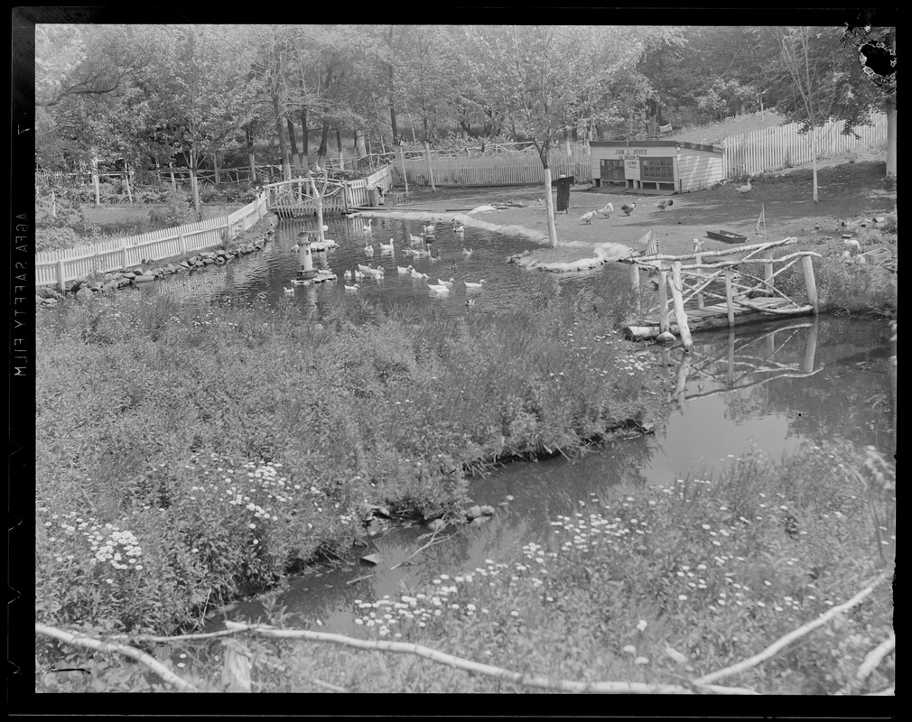 Scenic Middlesex Falls - Digital Commonwealth