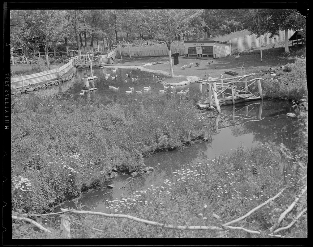 Scenic Middlesex Falls - Digital Commonwealth