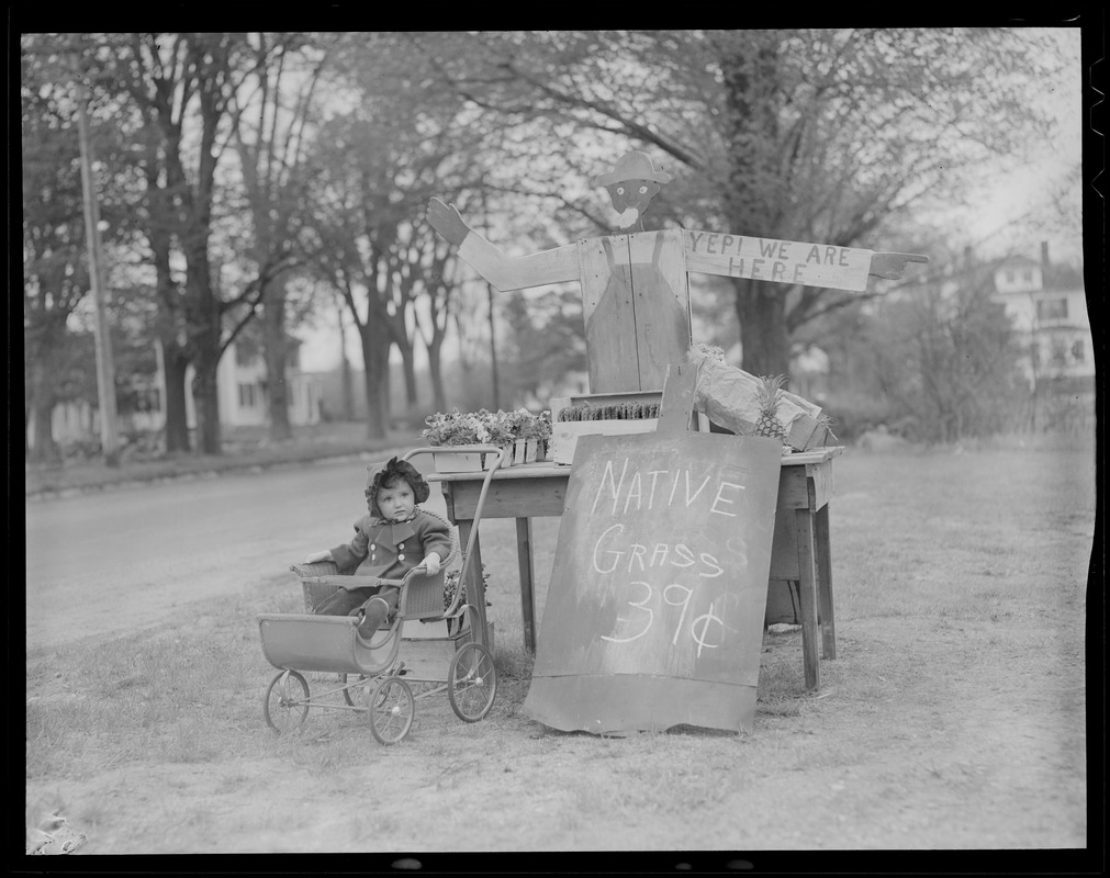 Rural scene. Small roadside stand & "signs." - Digital Commonwealth