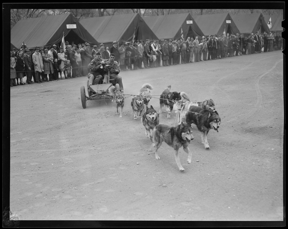 First army test of wheeled dog sleds - Digital Commonwealth